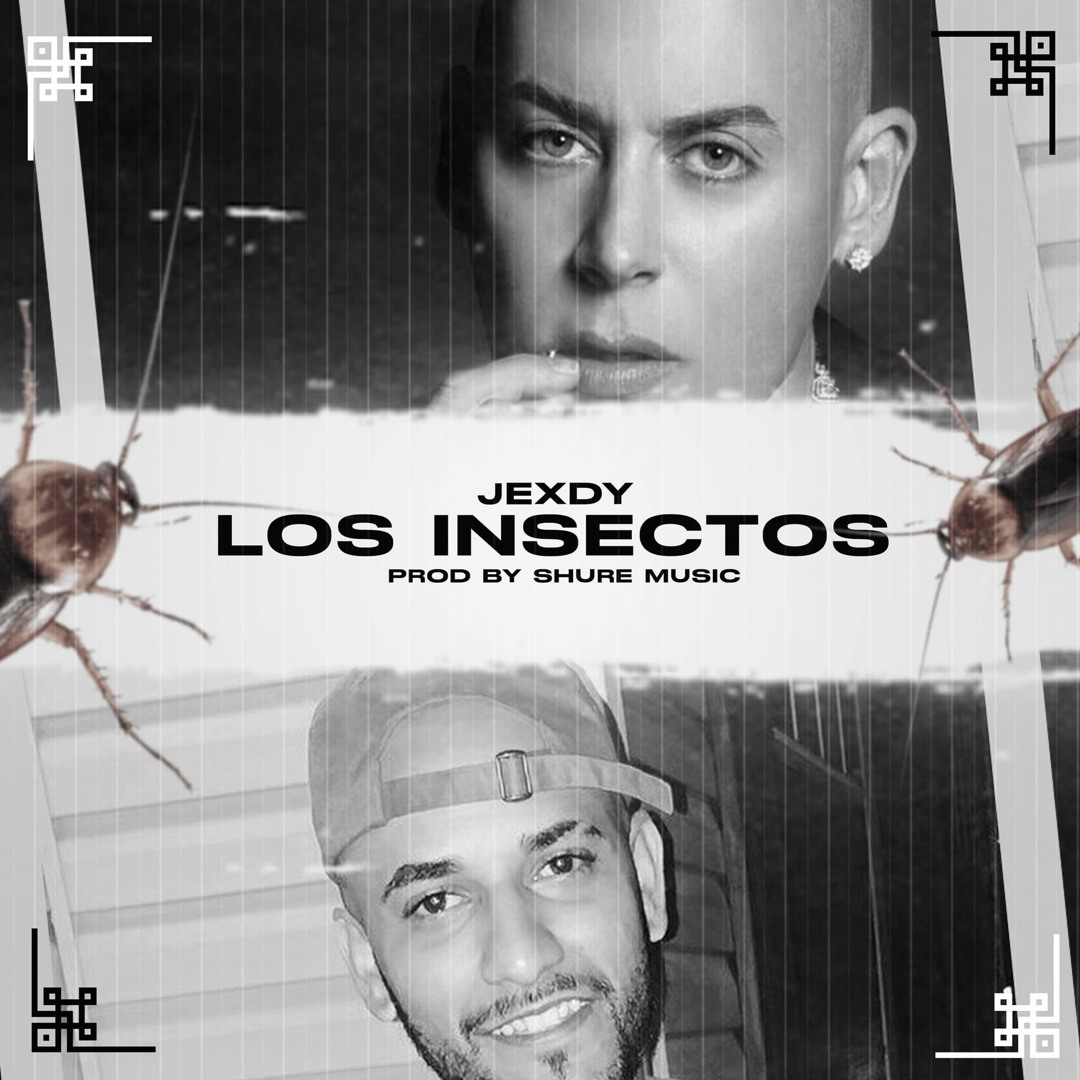 Stream Los Insectos by Jexdy | Listen online for free on SoundCloud