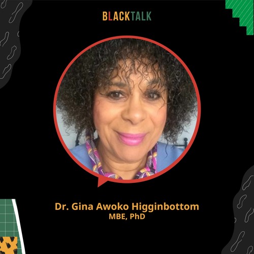 Stream episode Episode 14 - Dr. Gina Awoko Higginbottom by BlackTalk ...