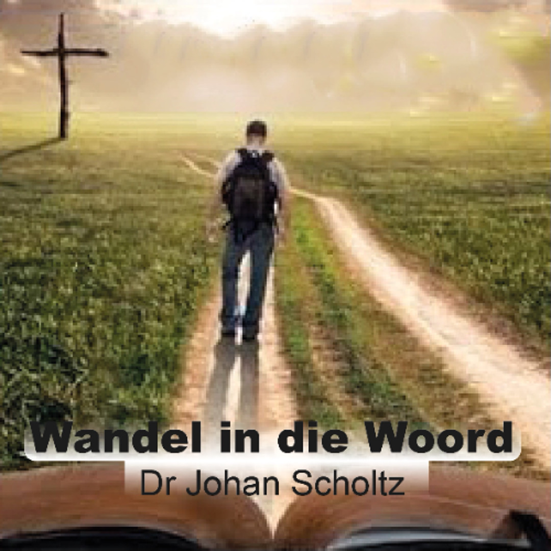 Stream 24 Feb Wandel in die Woord olv Dr Johan Scholtz by NG Kerk ...