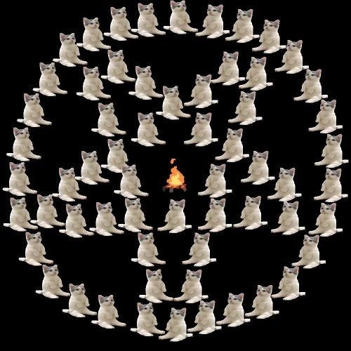 Stream perfect nights / he said she said by icemop | Listen online for ...