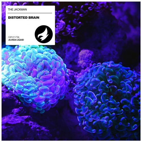 Stream Distorted Brain by Alveda Music | Listen online for free on ...