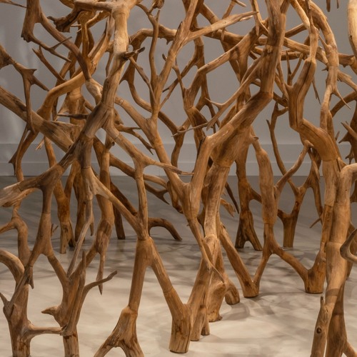 Stream Visite contée de l'exposition "Stère" de Vincent Laval from ...