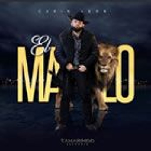 Stream Alberto | Listen to cain leon...mix playlist online for free on ...