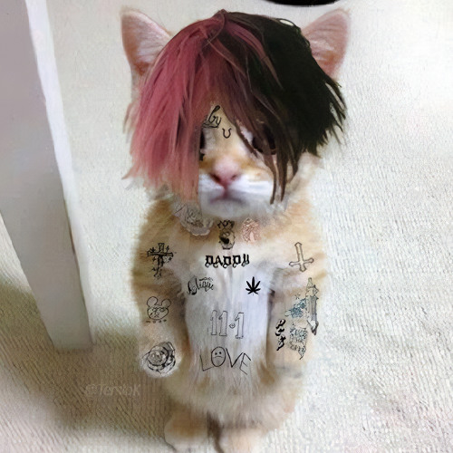 Stream Lil Peep & XXXTENTACION - Falling Down (Metal Version Tribute ... Stream Lil Peep & XXXTENTACION - Falling Down (Metal Version Tribute ...