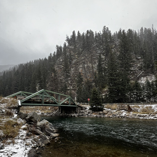 Stream Crying While You're Dancing (Dayseeker Cover) by Andrew Kolstad ...