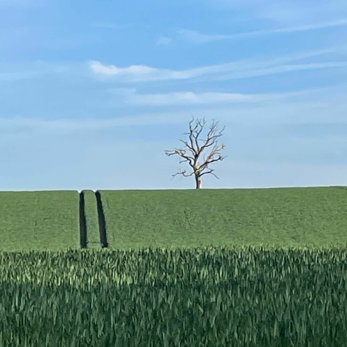 Stream tropes - idk (prod. st46y) by 「PlanetZero」 | Listen online for ...