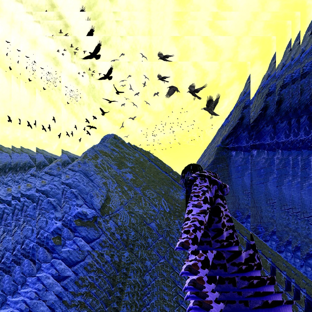 Stream 1000*** Crows*** by Neil O'hardty | Listen online for free on ...