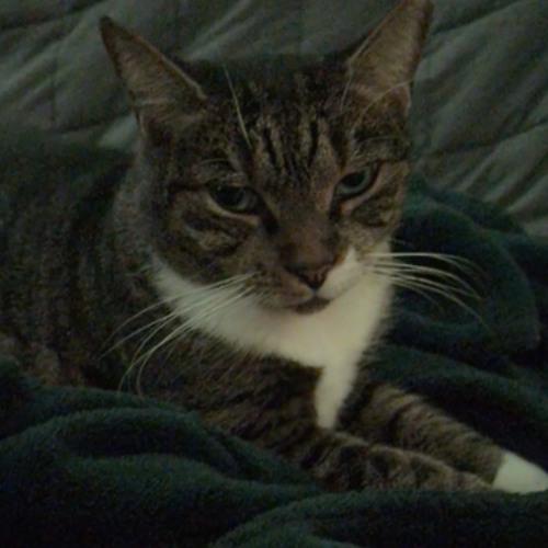 Stream Fart Beat Time by darnid | Listen online for free on SoundCloud