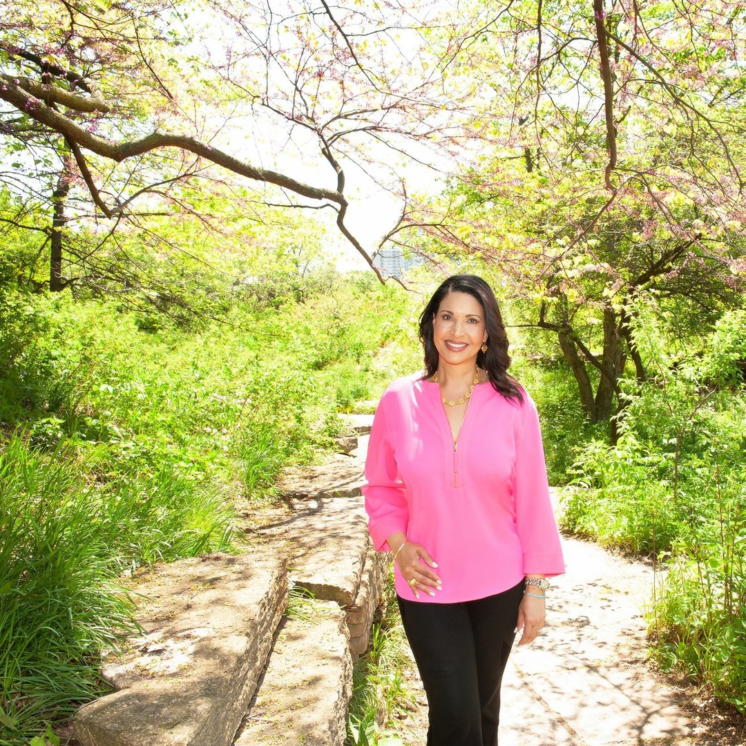 Stream episode 6. Suzanne Le Mignot News Anchor CBS Chicago- F You Have ...