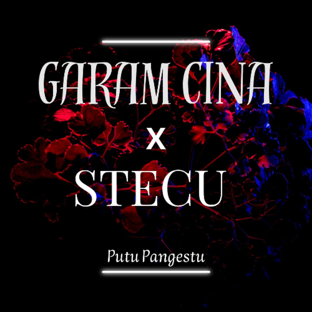 Stream GARAM CINA X STECU (Viral Tiktok) - [Putu Pangestu] by putu ...