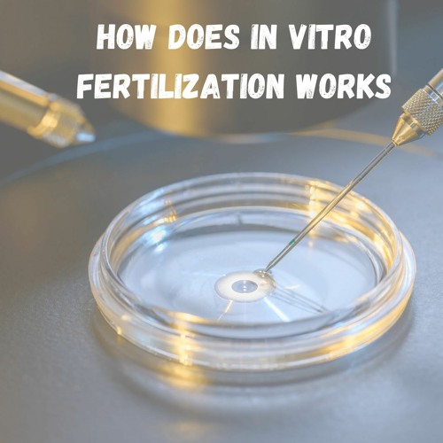 Stream How Does In Vitro Fertilization Works by Women's Clinic ... Stream How Does In Vitro Fertilization Works by Women's Clinic ...