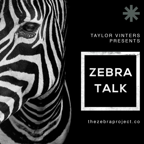 Stream episode About Zebra Talk by Zebra Project podcast | Listen ...