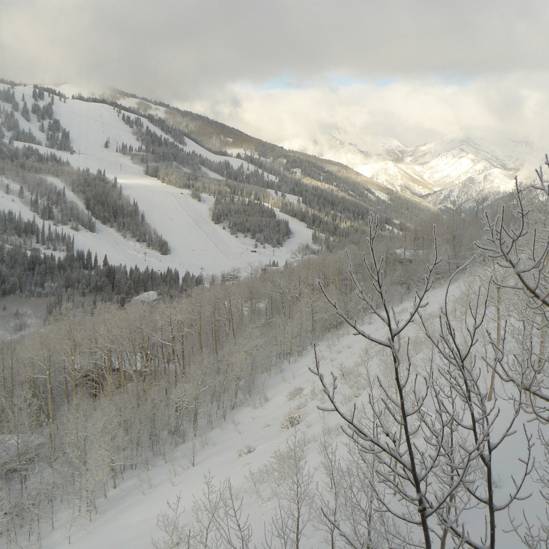 Stream Snowy Day In May by angus mackie | Listen online for free on ...