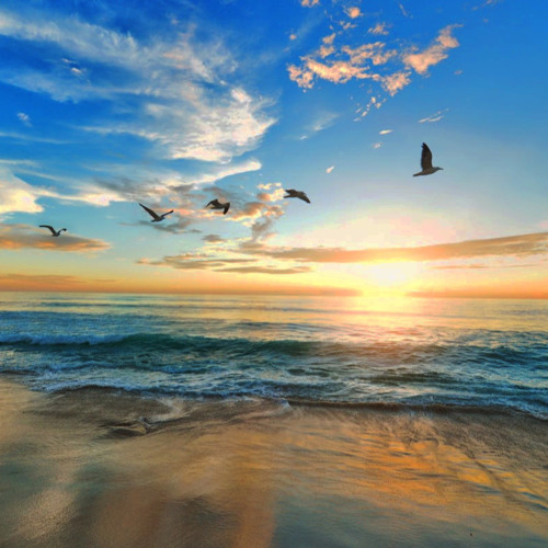 Stream Ambient Trap Type Beat “Paradise” 2022 by Terro Prodds | Listen ...