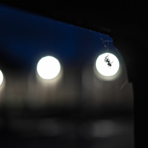 Stream La carte des merveilles by Tom Crosland | Listen online for free ...