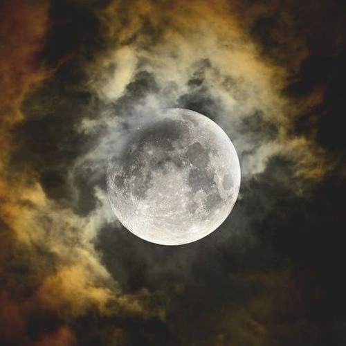 Stream Dumb (Freak Mods Remix) by Freak Mods | Listen online for free ...