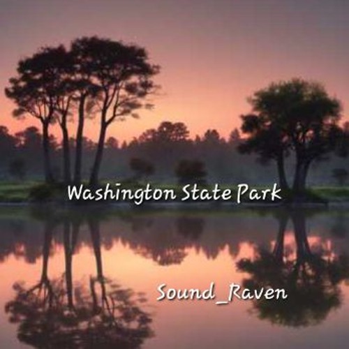 Stream Washington State Park (Mastered) by Sound_Raven | Listen online ...