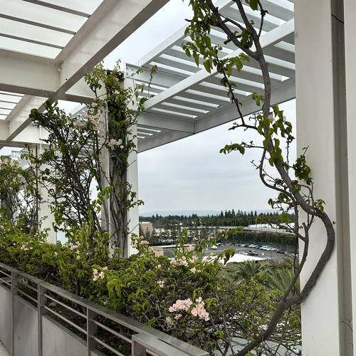 Stream reaptokyo - foie by reaptokyo archive★彡 | Listen online for free ...