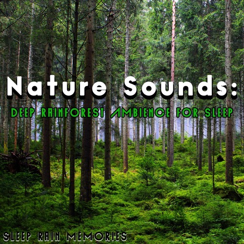 Stream Sleep Rain Memories Listen To Nature Sounds Deep Rainforest