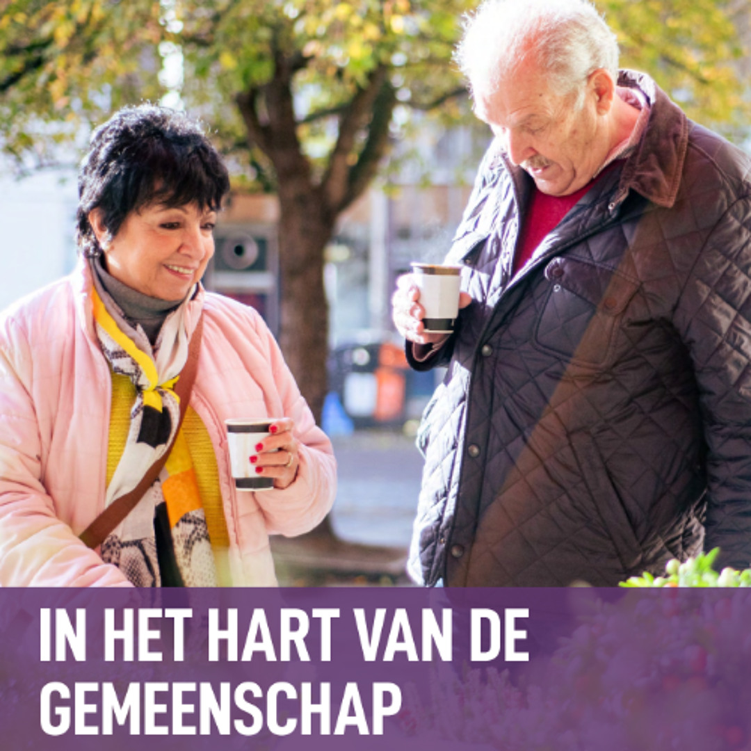Stream In Het Hart Van De Gemeenschap by Vilans | Listen online for ...