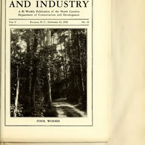 Laney Sylvia Model Super Model