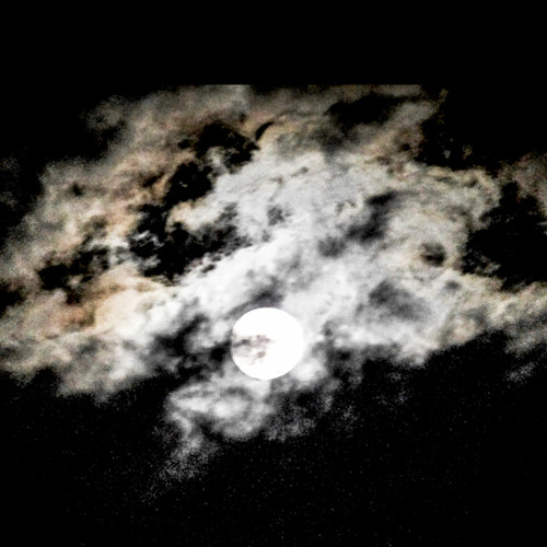 Stream tuki no kage feat.tentou by ko-shun | Listen online for free on ...