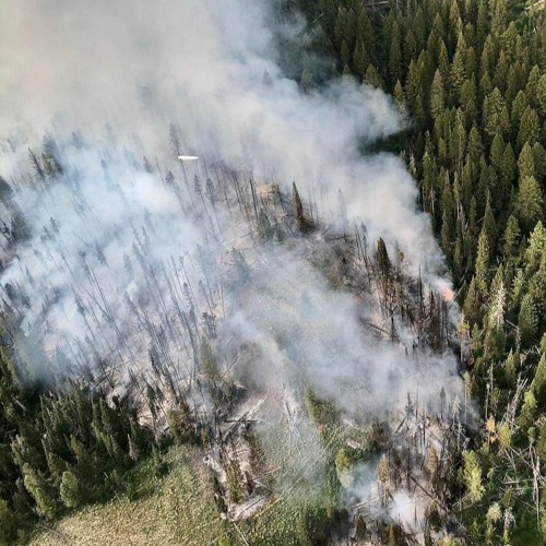 Stream July 14 | Fire danger now high for Jackson Hole public lands ...