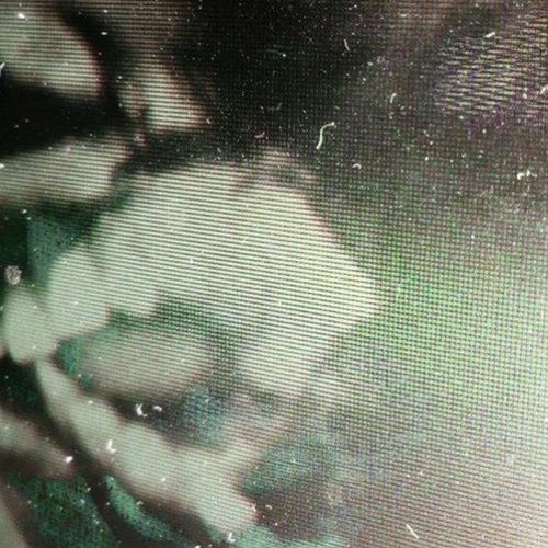 Stream DROELOE - Catalyst (CALMFY flip) by CALMFY | Listen online for ...