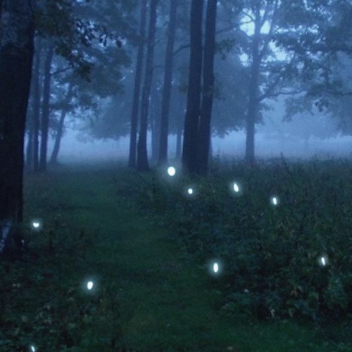 Stream cosmic fireflies by we-fall.jpg | Listen online for free on ...