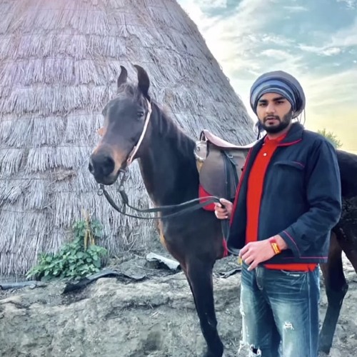 Stream harman | Listen to Rani tatt playlist online for free on SoundCloud