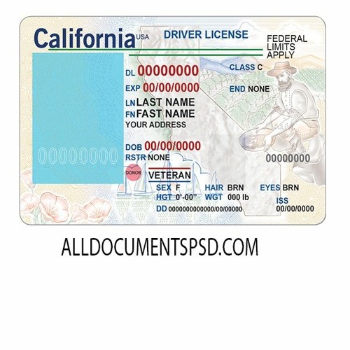 Drivers License Template