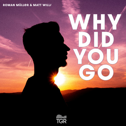 Stream Why Did You Go by Roman Müller | Listen online for free on SoundCloud