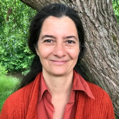 Stream Introducing the theme of bringing the practice to life by London ...