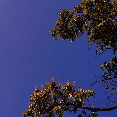 Stream more bandz(rez snip) by Hy | Listen online for free on SoundCloud