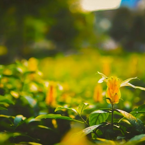 Stream Golden Hour by ultiobu. ♪ | Listen online for free on SoundCloud