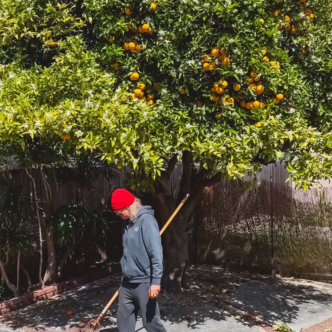 Stream Grow Forever (Spring 2025 DJ Mix) by August Flight Gordon | Listen online for free on ...