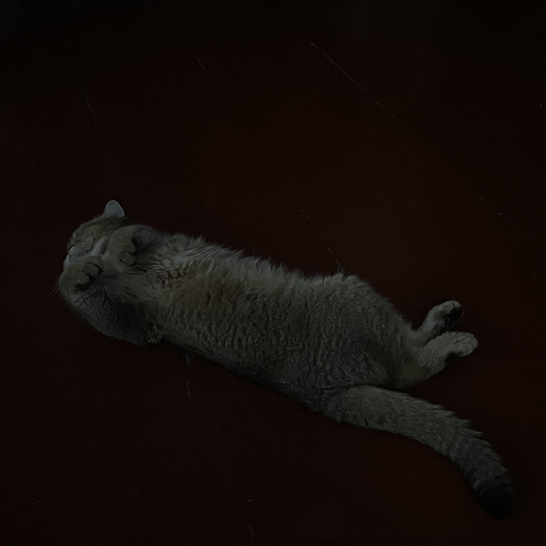 Stream svok-адидас про или пикми(гладиатор/рыцарь) by uoysonyy | Listen ...