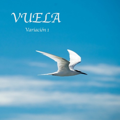 Stream Vuela V.1 by Luk Progressive Music | Listen online for free on ... Stream Vuela V.1 by Luk Progressive Music | Listen online for free on ...
