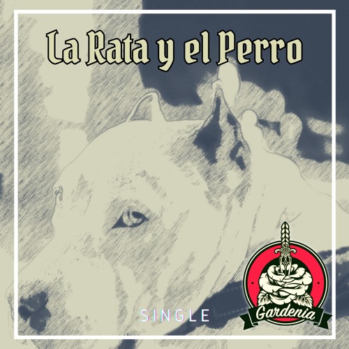 Stream La Rata y el Perro by Gardenia | Listen online for free on ...