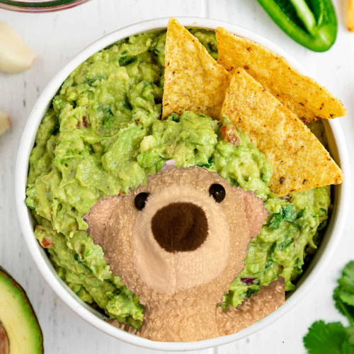 Stream guac & roll by grub the aggressive | Listen online for free on ...