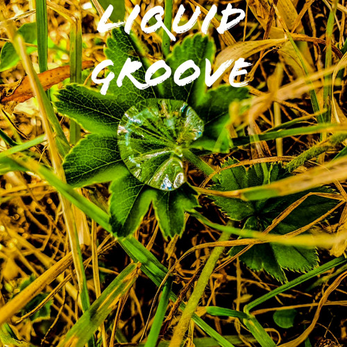 Stream DUDIMAN'S DNB SESSION - #1 Liquid Groove by Dudiman | Listen ...