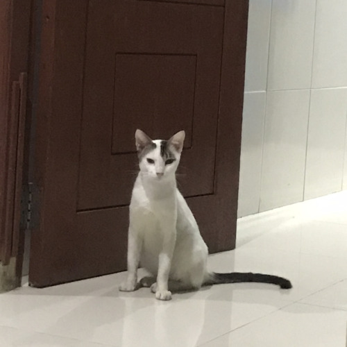 Stream ERWIN HIDAYAT 071 | Listen to tutu playlist online for free on ...