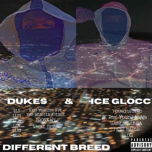 Stream STS Dukes | Listen to Different Breed playlist online for free ...