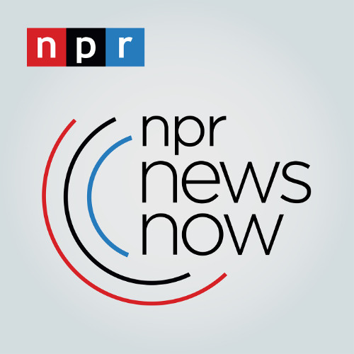 Stream NPR NEWS NOW - "Bloody Sunday's 60th Annivesary in Selma" - TPR ...