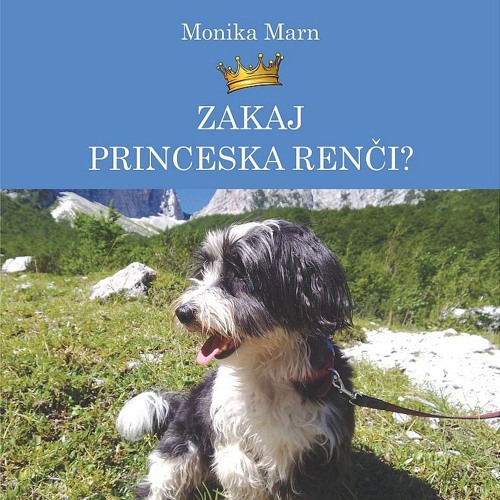Stream episode 13# PASJA MAMA - MONIKA MARN "ZAKAJ PRINCESKA RENČI" by RADIO ZELENI VAL podcast ...