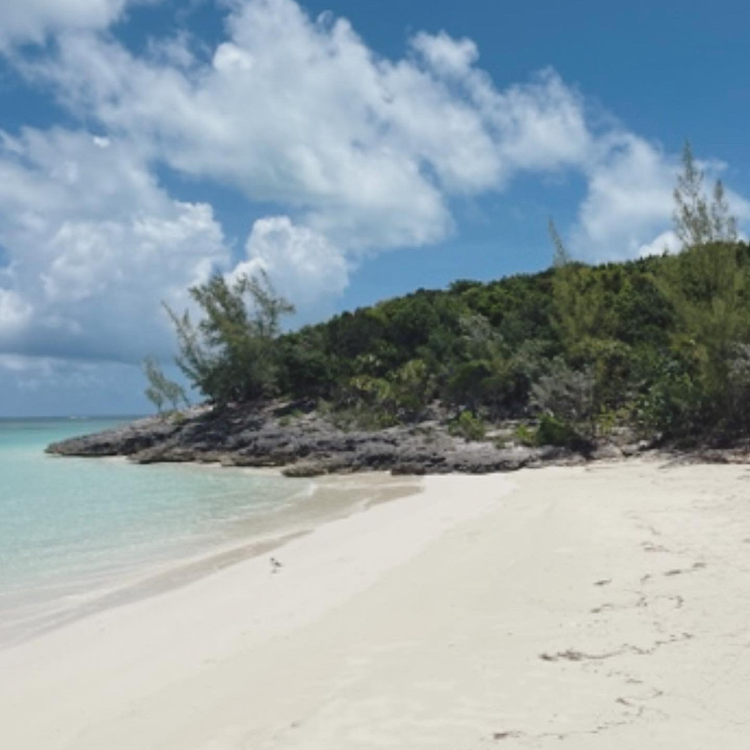 Stream swapa - nugget + I wouldve been drunk #nature by Henry Kava ...