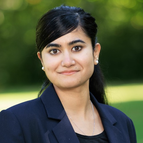 Stream episode Sabah Usmani on making cities healthy and just by Agents ...