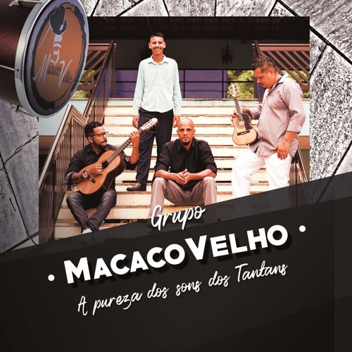 Stream Grupo Macaco Velho | Listen to A Pureza dos Sons dos Tantans ...