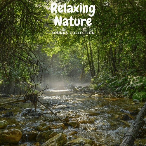 Stream Relaxing Nature Sounds Collection | Listen to Ambient Outdoor Escape playlist online for ...
