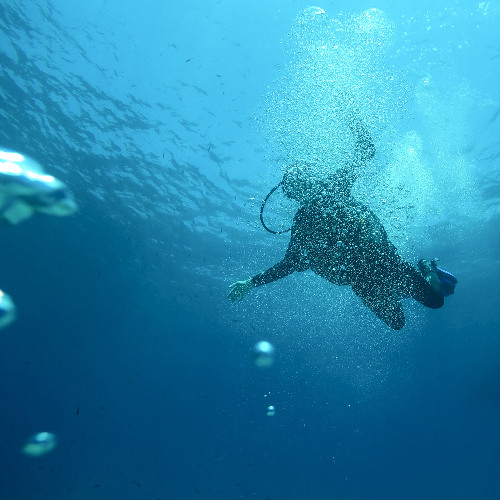 Stream Prov - in a bottomless world by Vorp | Listen online for free on ...